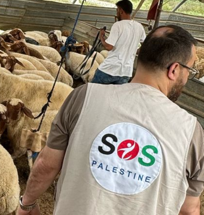 SOS Palestine